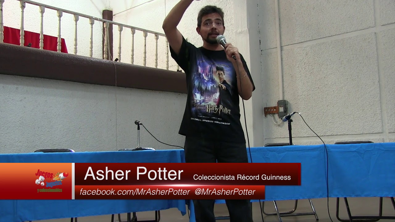 Mr. Asher Potter Coleccionista Harry Potter - Juegos Juguetes y ...