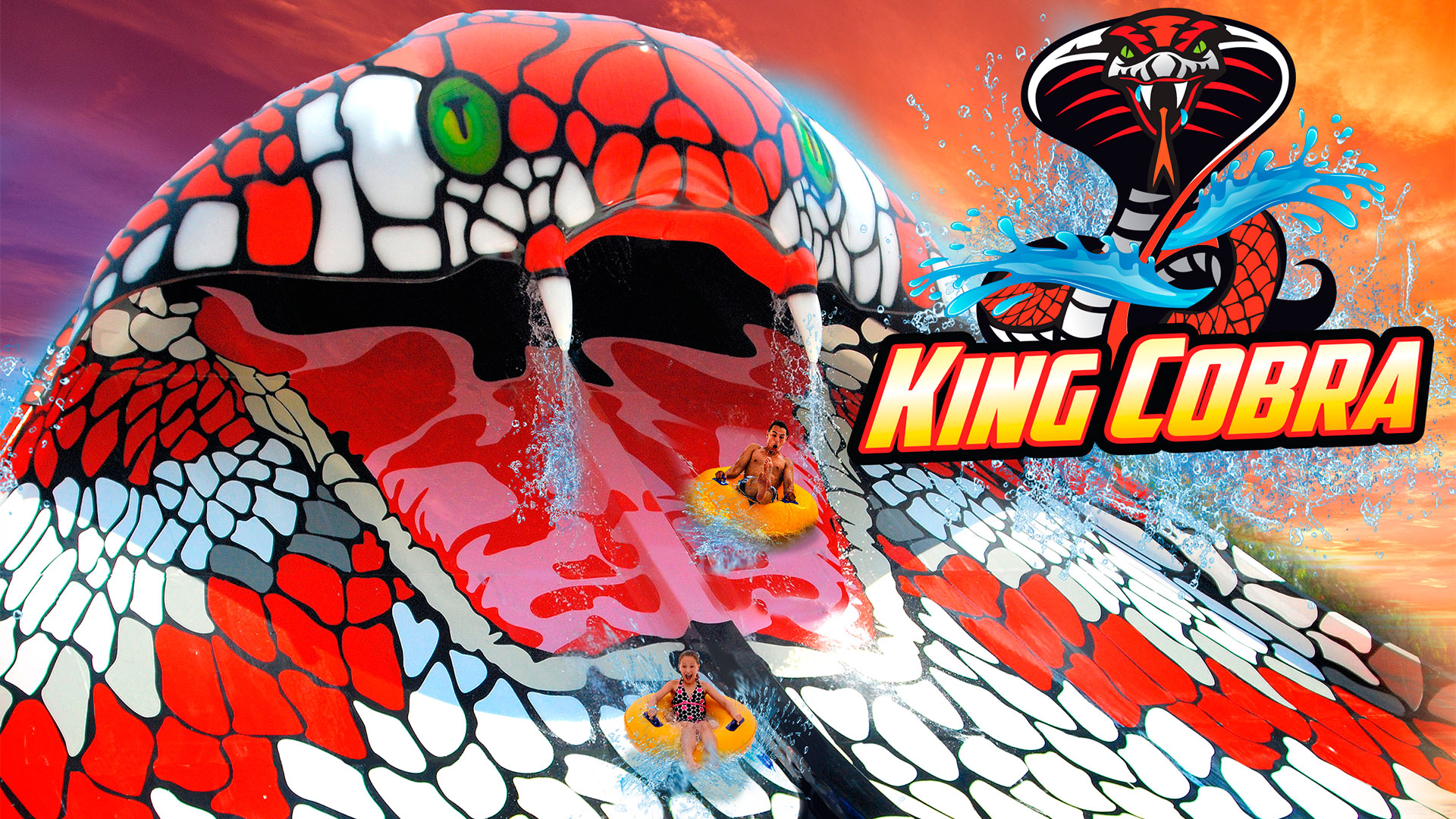 King Cobra, DC Super Friends y Looney Tunes, Six Flags en 2019 - JJyC